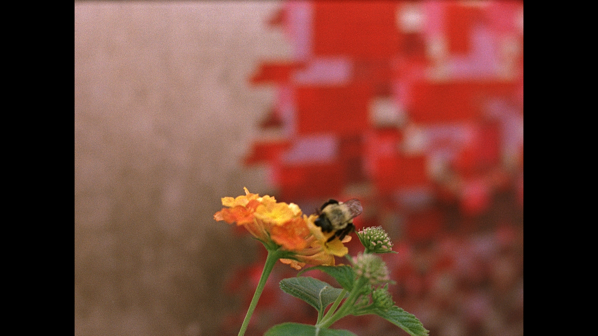 The Frick Pittsburgh - Elise Adibi